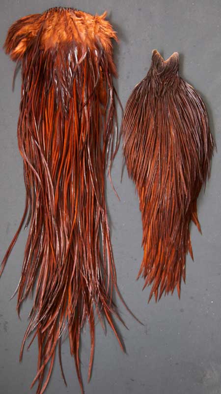 Whiting Catskill Classics | Catskill Classics | Whiting Dry Fly Hackle