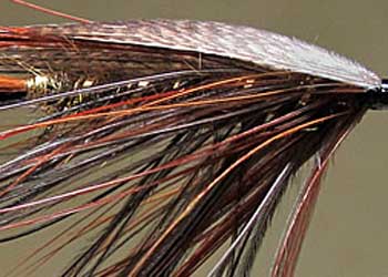 Spey Hackles - Feathers for tying Spey Flies